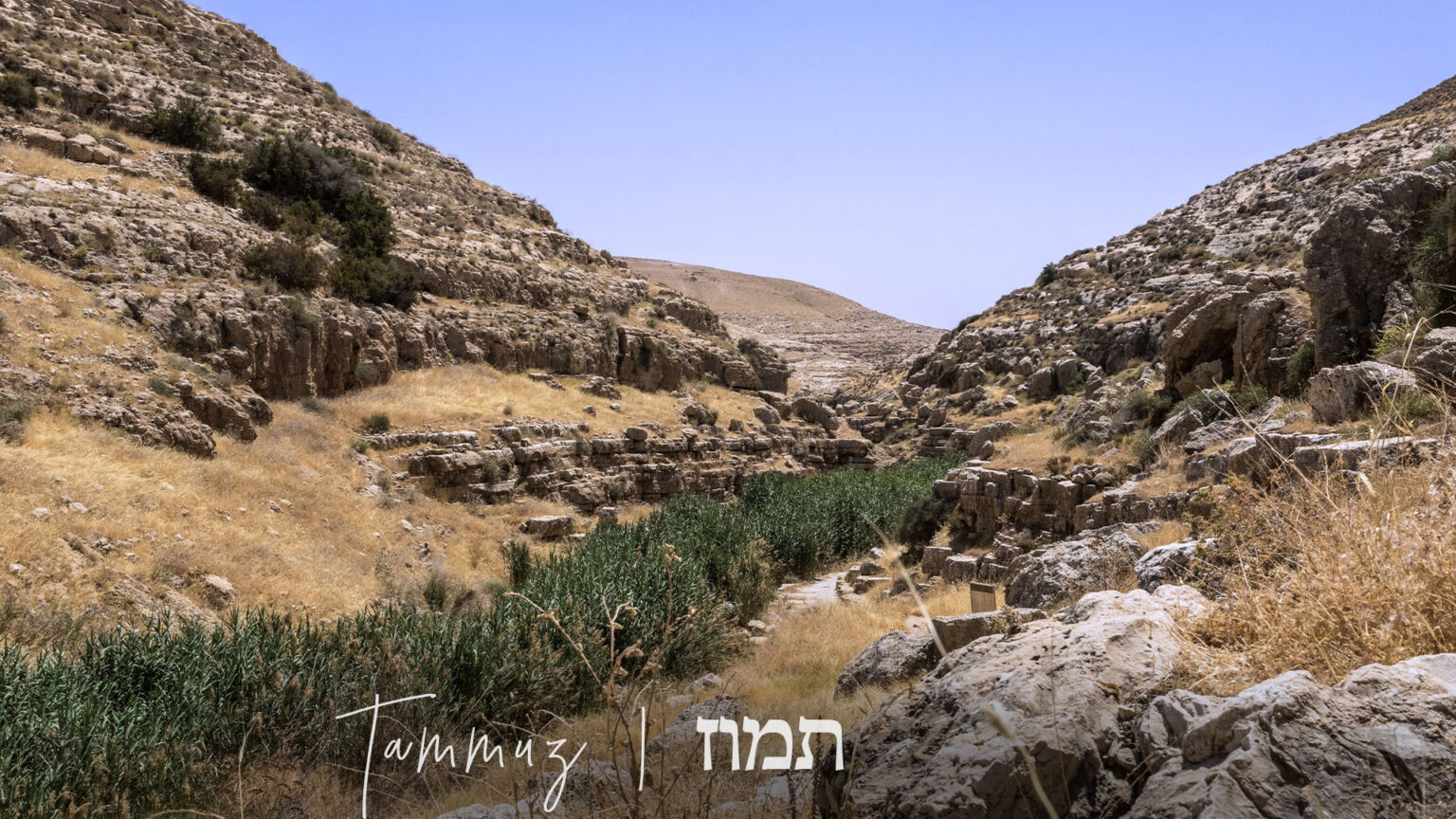 Tammuz: The Month of Vision in the Hebrew Calendar – Fusion Global with ...