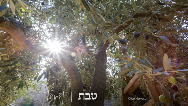 Tevet: The Month of Divine Grace in the Hebrew Calendar – Fusion Global ...