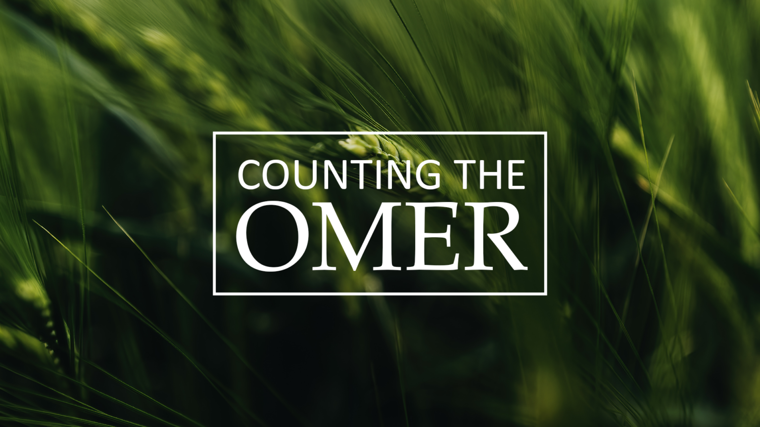 What Is the Counting of the Omer – Fusion Global with Rabbi Jason Sobel
